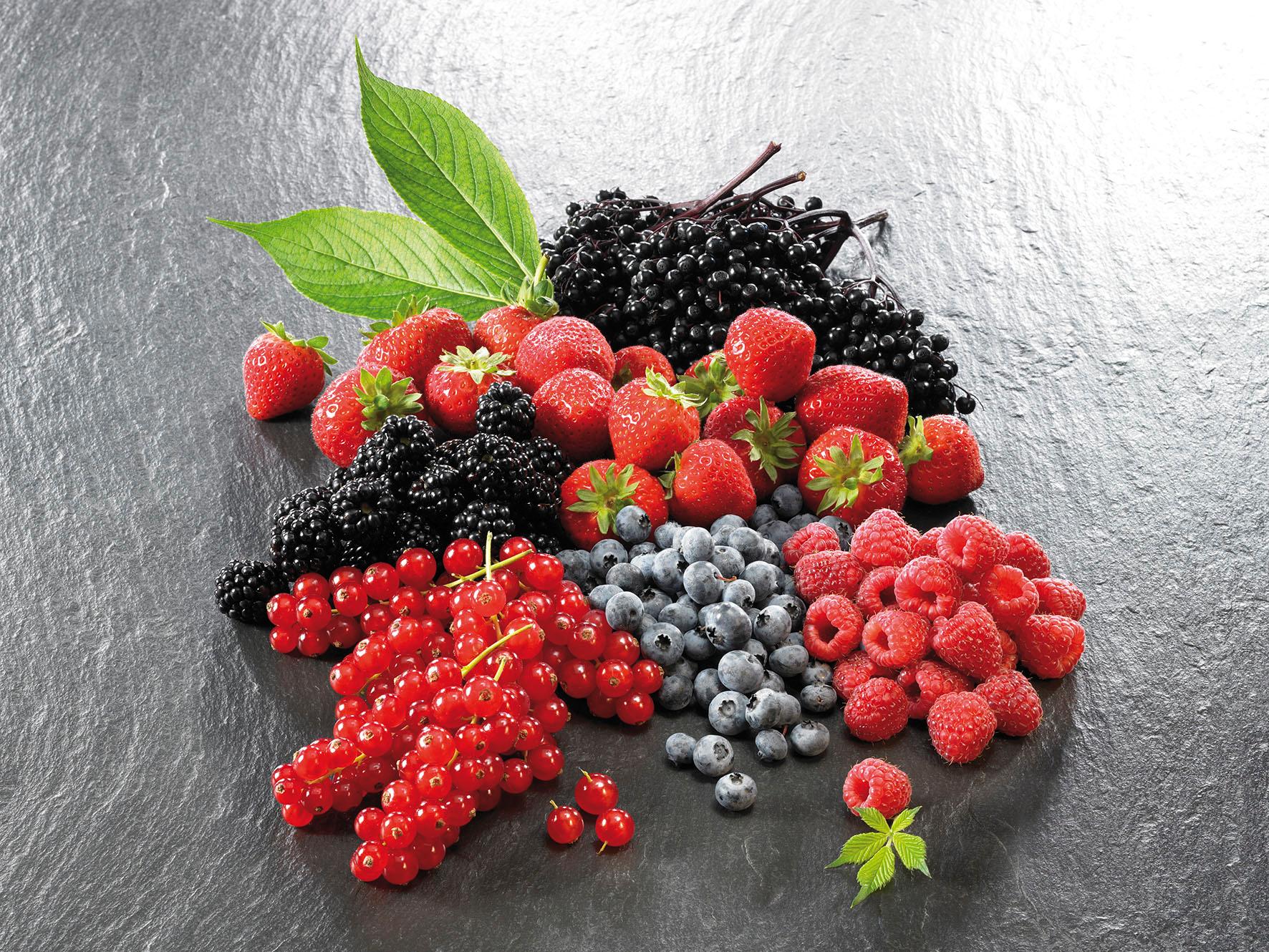 Salon des Fruits Rouges de Larache, 22-25 Mars - Agriculture du Maghreb