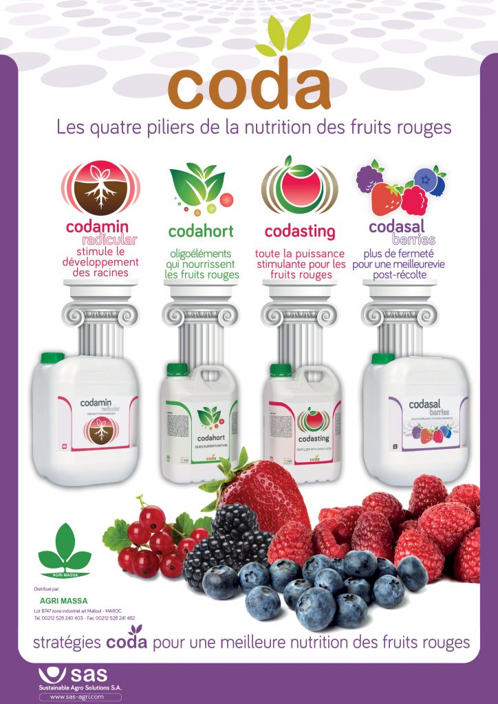Dossier FRUITS ROUGES: Succès indéniable et diversification réussie ...