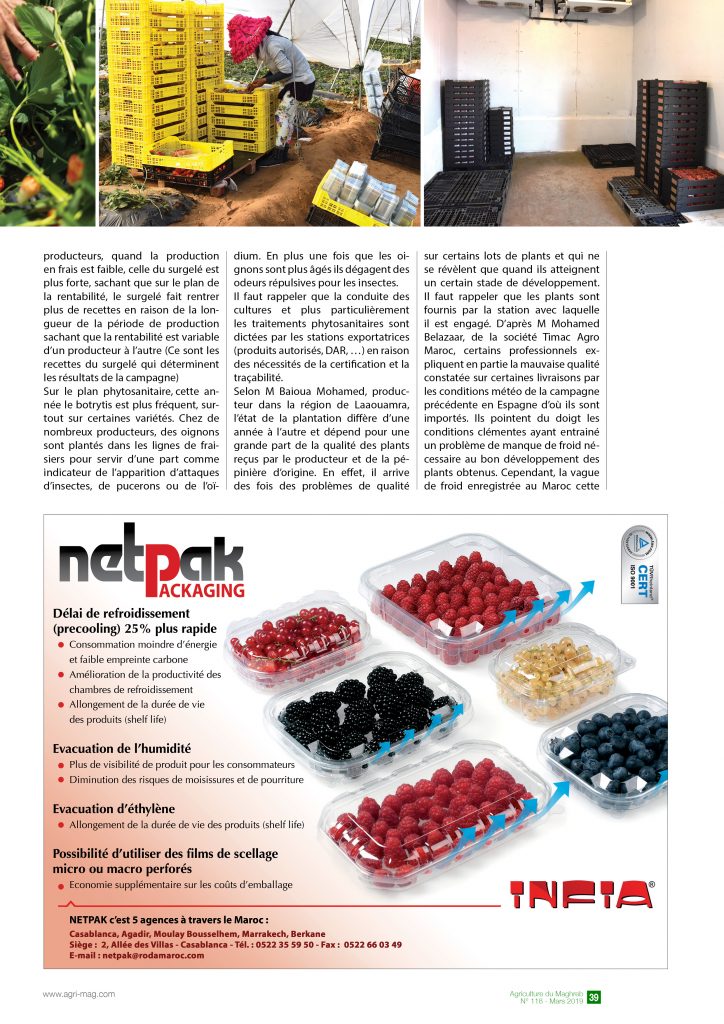 Dossier FRUITS ROUGES: Succès indéniable et diversification réussie ...