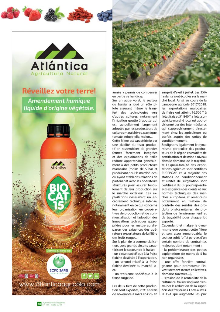 Dossier FRUITS ROUGES: Succès indéniable et diversification réussie ...