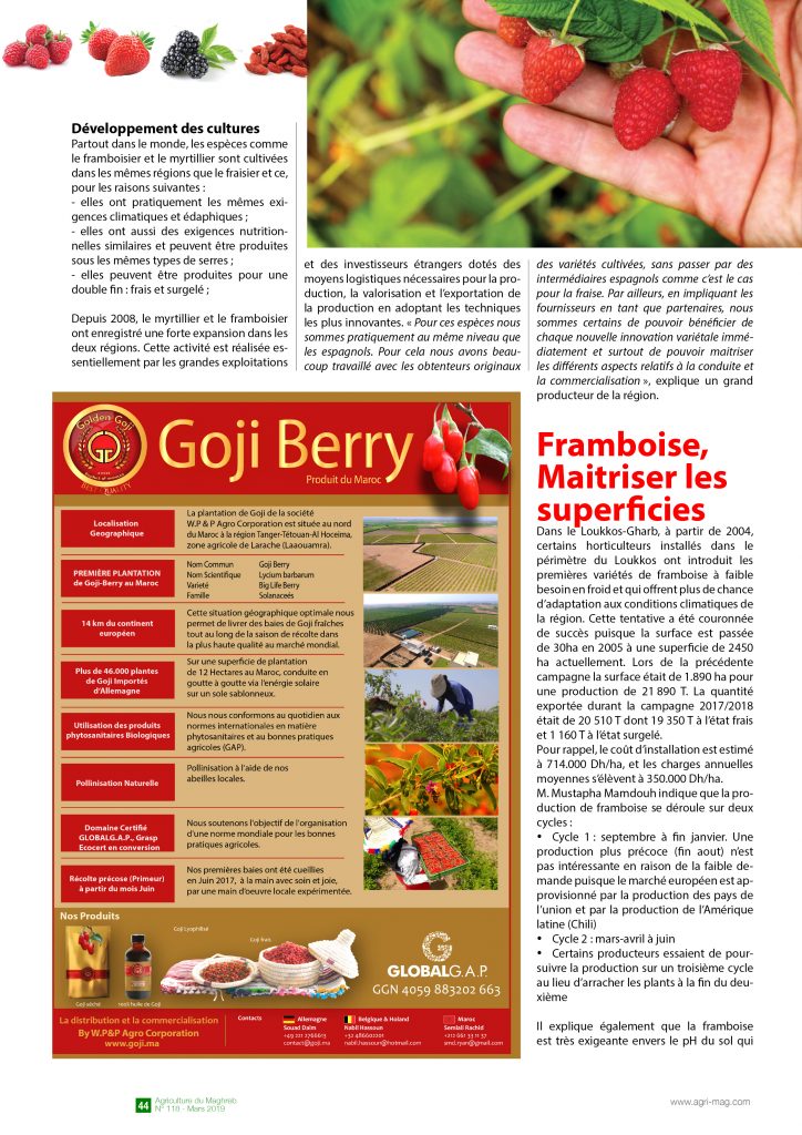 Dossier FRUITS ROUGES: Succès indéniable et diversification réussie ...