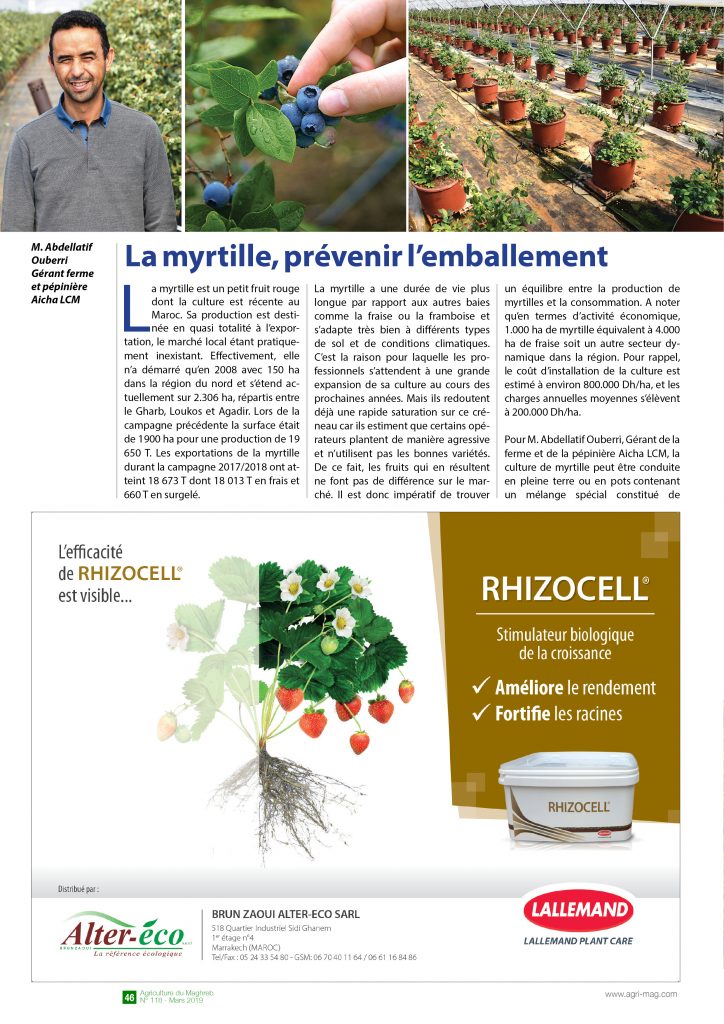 Dossier FRUITS ROUGES: Succès indéniable et diversification réussie ...