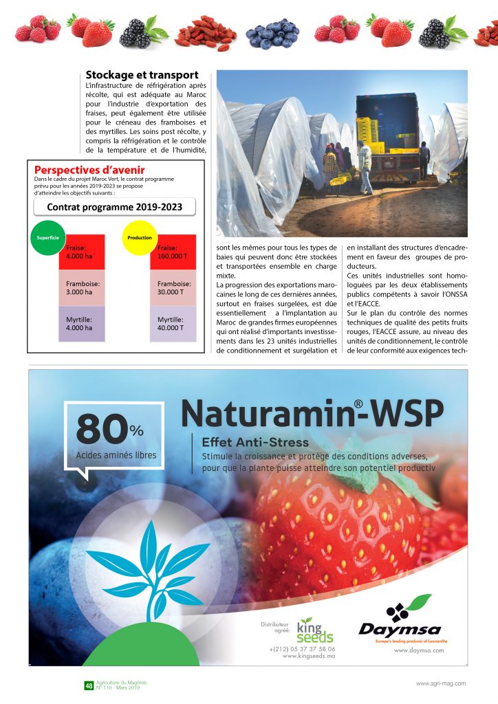 Dossier FRUITS ROUGES: Succès indéniable et diversification réussie ...