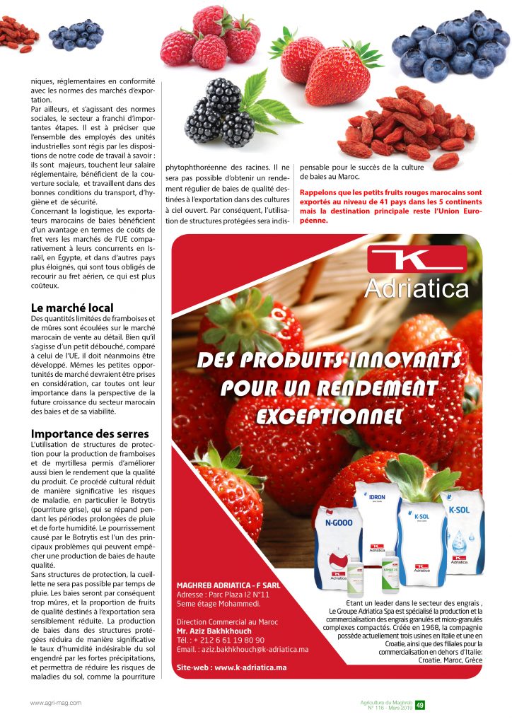 Dossier FRUITS ROUGES: Succès indéniable et diversification réussie ...