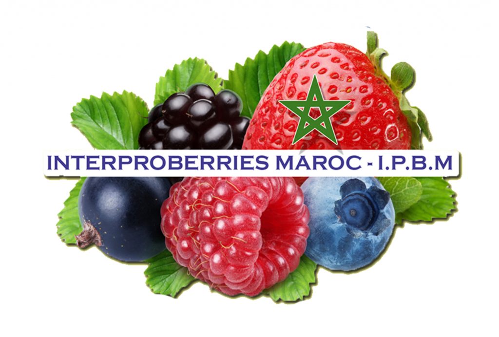 La Fédération des fruits rouges condamne la désinformation de l’opinion ...