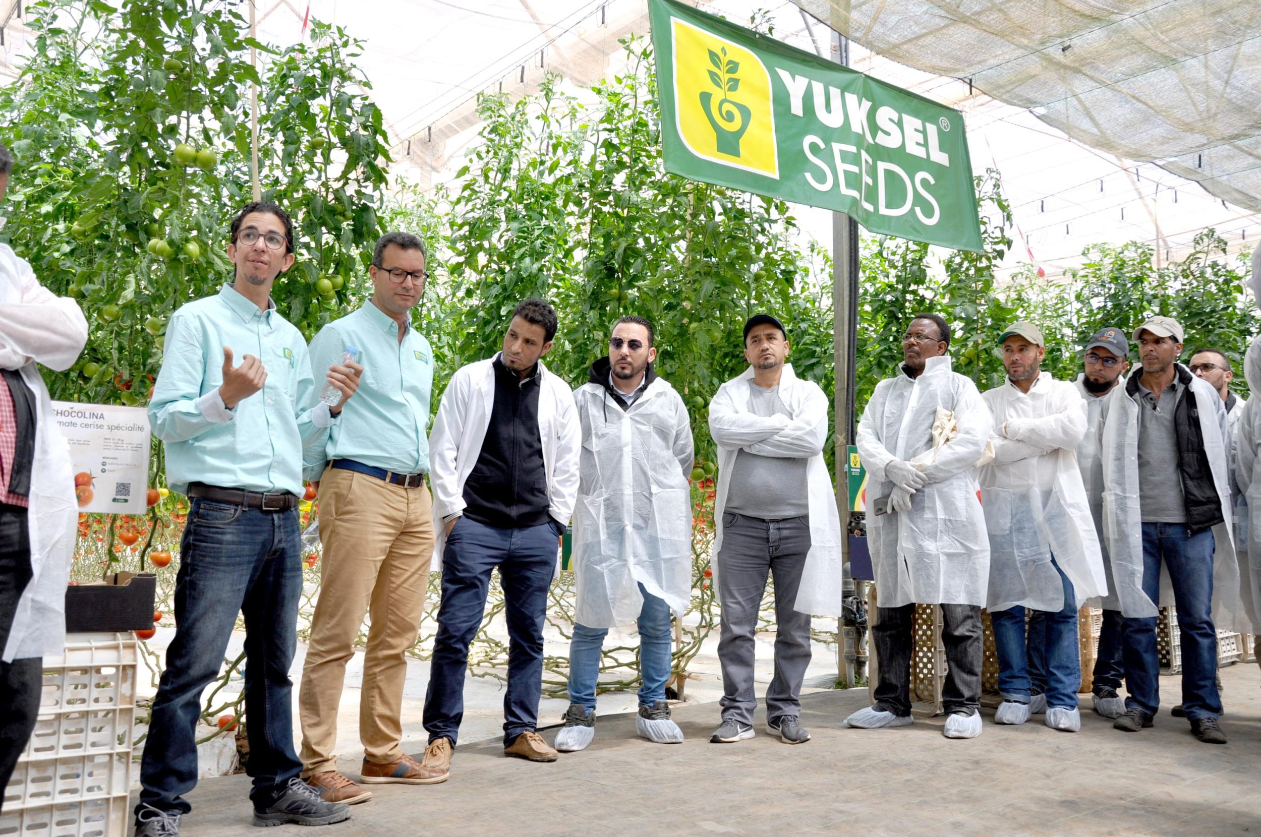 Yuksel Seeds Présente ses innovations tomate à Agadir - Agriculture du ...