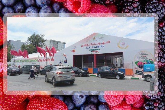 Agriculture du Maghreb | Le Premier Magazine des filières Agricoles en ...