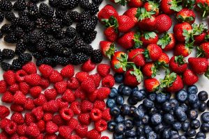 Fruits rouges : une filière dynamique qui voit grand | Agriculture du ...