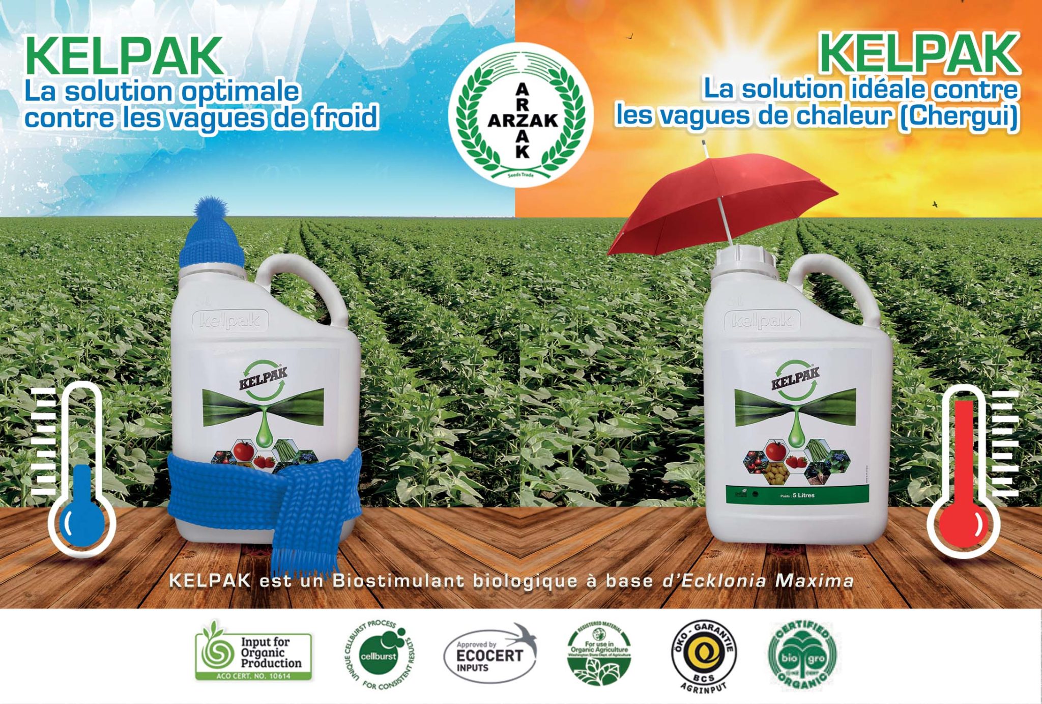KELPAK, la solution biostimulante pour une meilleure gestion du stress ...